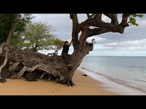 $0 FOR HAWAII RESIDENT CAMPING ANINI BEACH SAFE AND QUIET