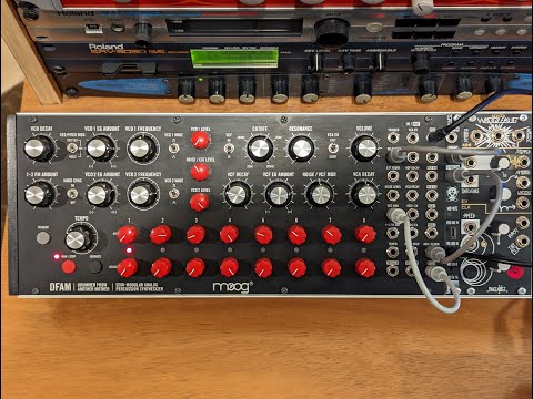 Moog DFAM + MAFD (Sonoclast MIDI Adapter For DFAM) Drummer | Reverb