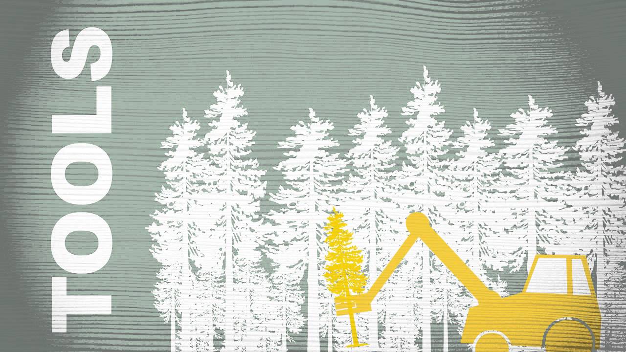 FOREST FAST BREAK: Forest Fire
