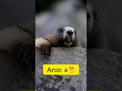 Arun #whatsappstatustamil #emotionalstatus #astrology #life #tamil #name #shorts #saravanakrishna