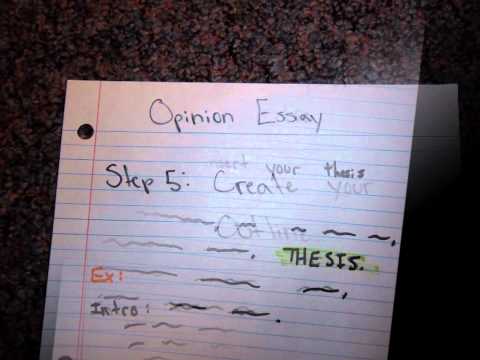 Opinion Essay