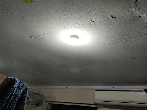 Sengled Smart Light Bulbs, Color Changing Alexa Light Bulb Bluetooth Mesh That Work with Alex Review