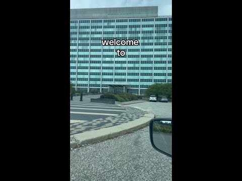 A Day in the Life of a Ford Finance Intern
