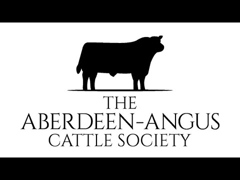 Aberdeen-Angus Sale at Stirling Bull Sales at 10,00 am on Monday 3rd February '25