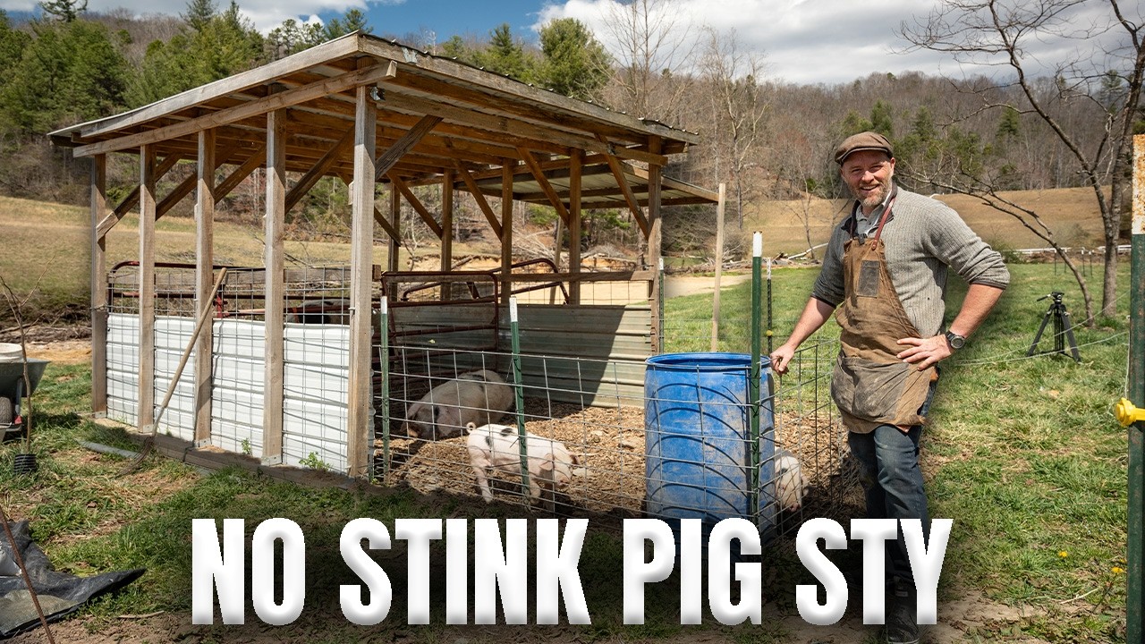 Finally, A Pig Stye that Doesn’t Stink + Gives Compost