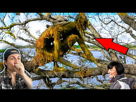 Top 3 IMPOSSIBLE places people were found | Missing 411 (Part 15)
