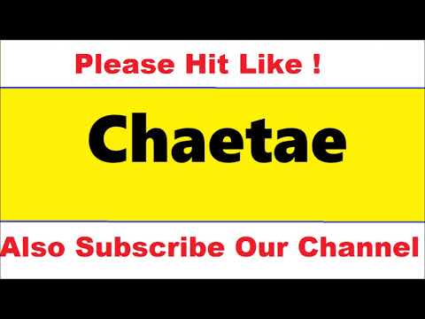 HOW TO PRONOUNCE Chaeta