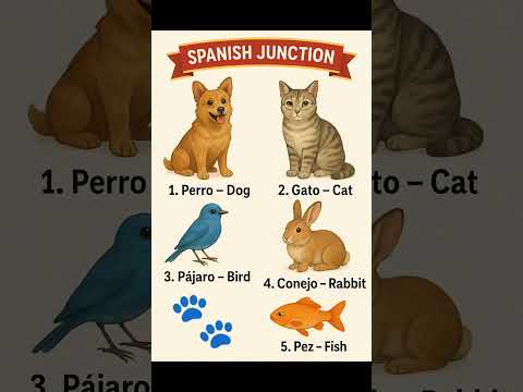 P-18 | PETS IN SPANISH | LEARN SPANISH FOR BEGINNERS #shorts #trending #viralshorts