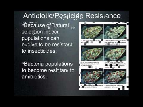 SCI 7/8 - Examples of natural selection