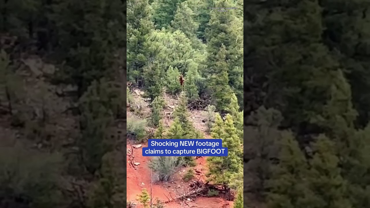 Shocking footage claims to capture Bigfoot