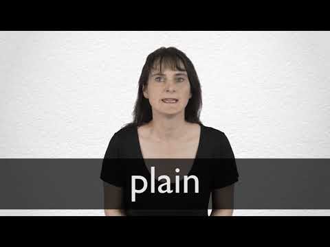 PLAIN definition and meaning | Collins English Dictionary