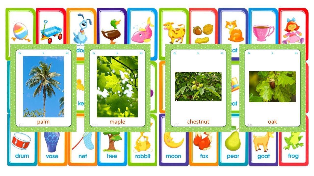 Flashcards for kids - Trees - learn words in English.