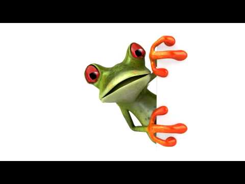 Hawaii Car Rental