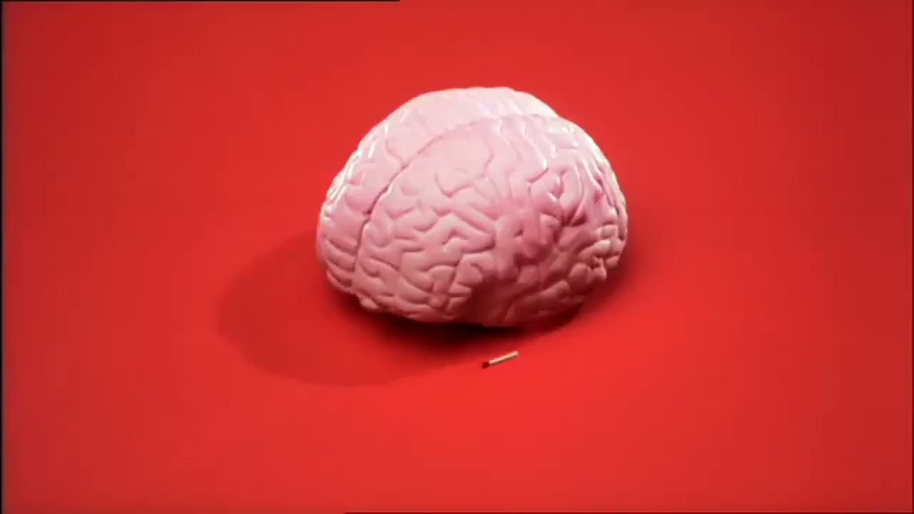 Bacardi - Manifiesto - Cinema 2011