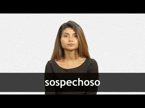 English Translation of “SOSPECHOSO” | Collins Spanish-English Dictionary