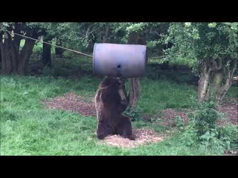 ZSL London and Whipsnade Zoos ABMA Behavior Month Presentation 1--Introduction