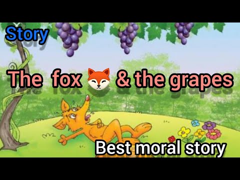 Story The fox and the grapes in English with Urdu translation Short story ankhoor to khaty Hain