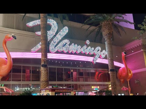 THE FLAMINGO - LAS VEGAS - Why This IS The BEST RESORT in The WORLD - Full Tour / I LOVE SUGAR.
