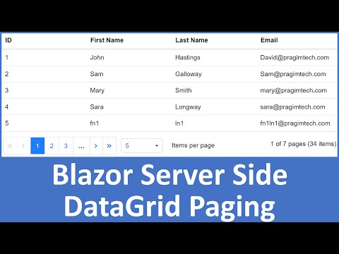 Learn Blazor | ASP NET Core | DataGrid Server Side Paging - Mind Luster
