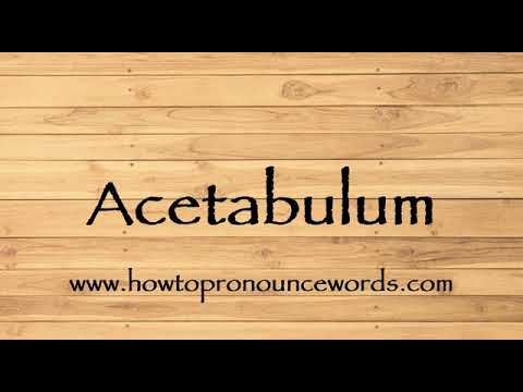 How To Pronounce Acetabulum In American English ? How To Pronounce Acetabulum In British English