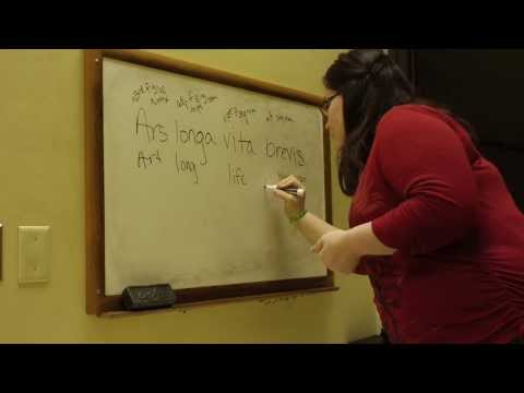 How to translate a short Latin phrase into English