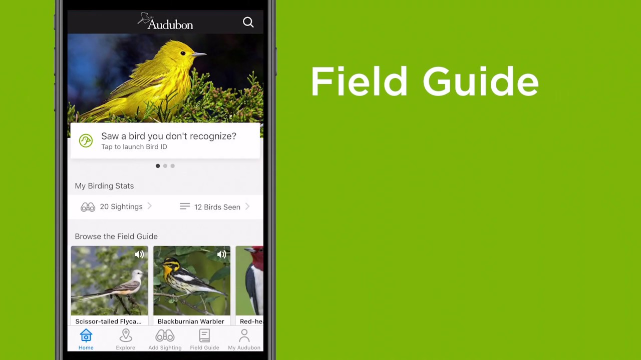 How to use the Audubon Bird Guide app