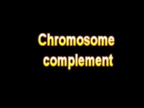 What Is The Definition Of Chromosome complement - Medical Dictionary Free Online