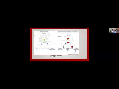 10/4/24 - C Difficile: Practice Changing Guidelines Updates and Beyond