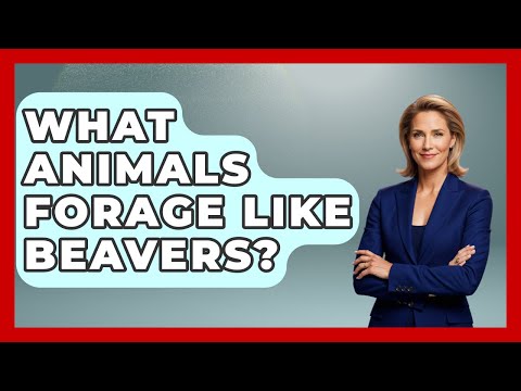 What Animals Forage Like Beavers? - The Wild Life Explorer