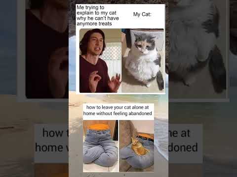 Meme of the day #meme #memes