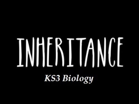 Introduction to GENE INHERITANCE (BBC BITESIZE KS3 Biology)