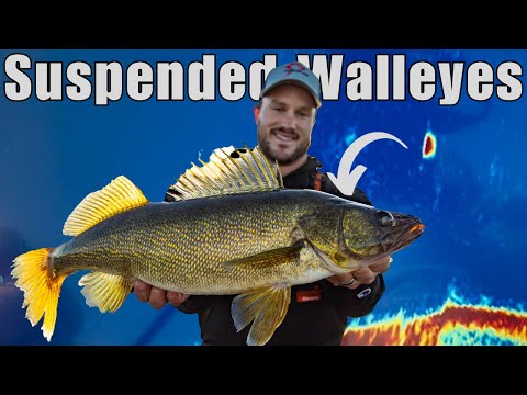 The BEST Technique for BIG Walleyes - Complete Guide to Open Water Walleyes