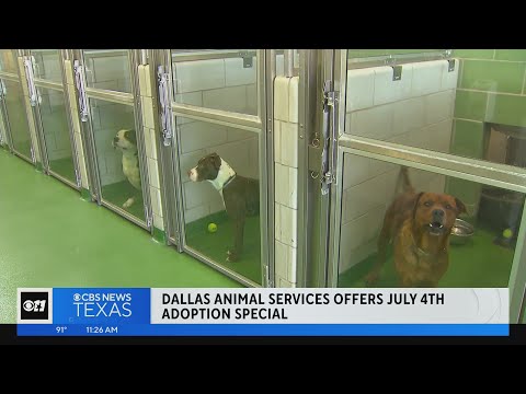 Dallas Animal Services asking for help to clear the shelter