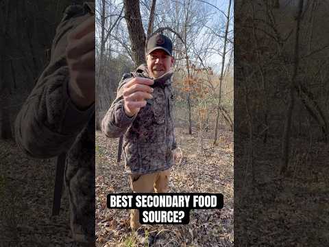 The best secondary food source for deer hunting in Iowa?