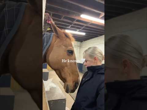 Her horse went to hug her ❤️