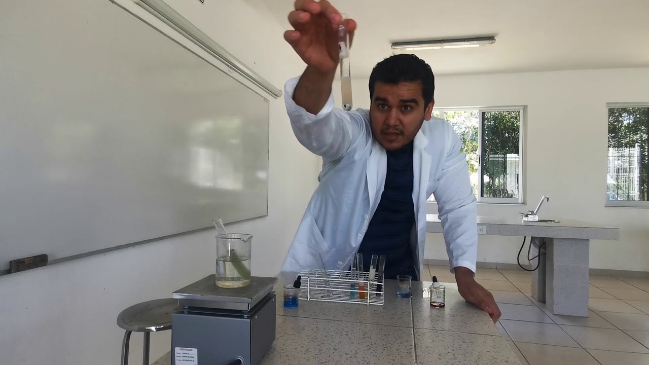 Practica 2 de bioquímica
