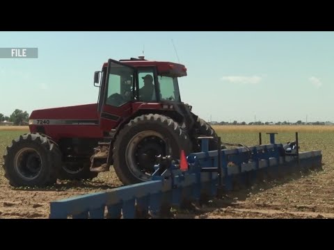 Fertilizer prices could become a concern amid tariffs