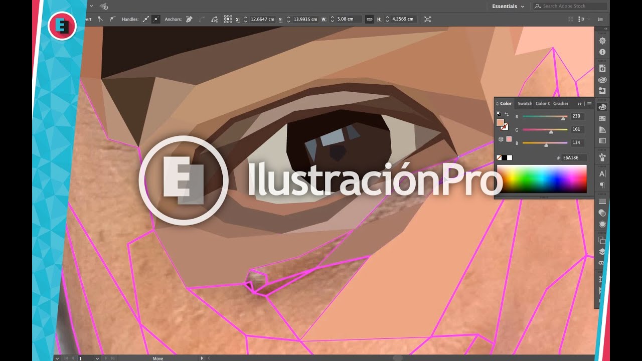 Demostración Ilustración vectorial - EE.DiseñoPro