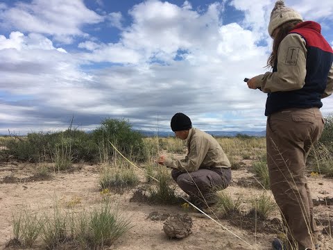 Using remote sensing monitoring data - Megan Creutzburg