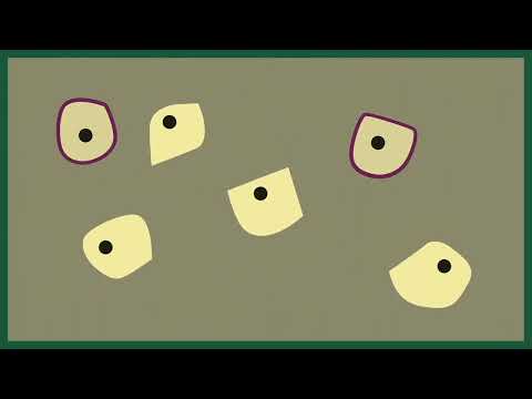 What are induced pluripotent stem cells? Narrated by Dr. Mick Bhatia
