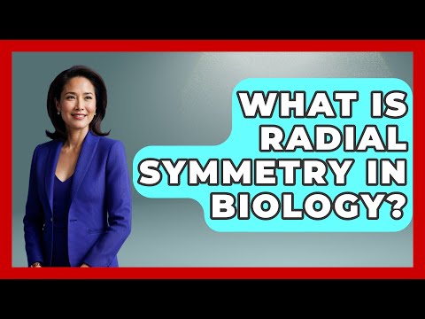 What Is Radial Symmetry In Biology? - Biology For Everyone