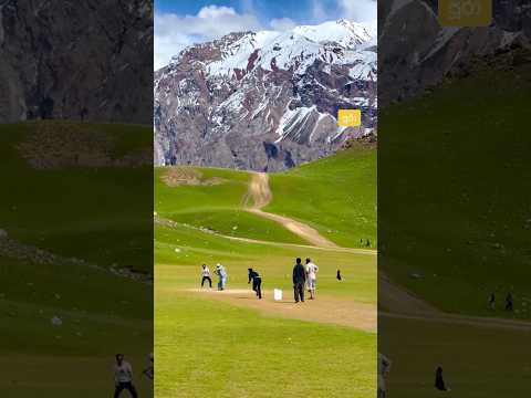 The Game We Love #cricket #shorts