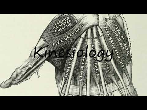 How to Pronounce Kinesiology?