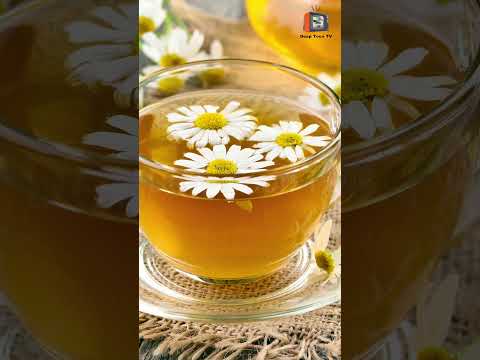 Unlocking the Secrets of Camellia Sinensis: The Tea Plant(2024)