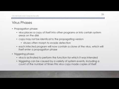 Malware - Computer Viruses
