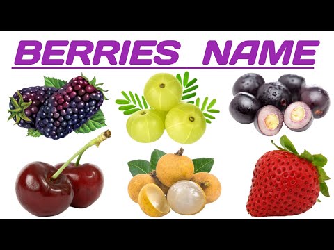 Berries name in English and Hindi | बेरीज के नाम | all Berries | Berry Name in English with Pictures