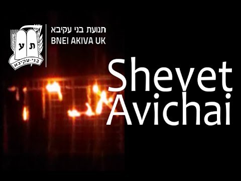 Shevet Avichai | The importance of the name Avichai