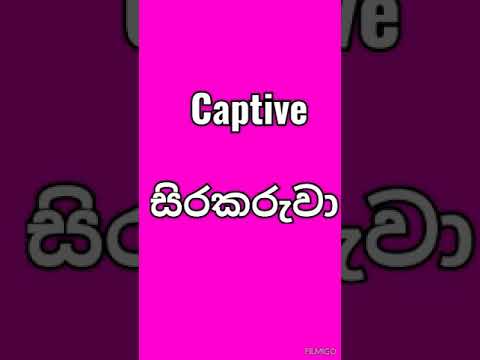 meaning in Sinhala 🤔😄🖐️#english #sinhala #meaning #shorts