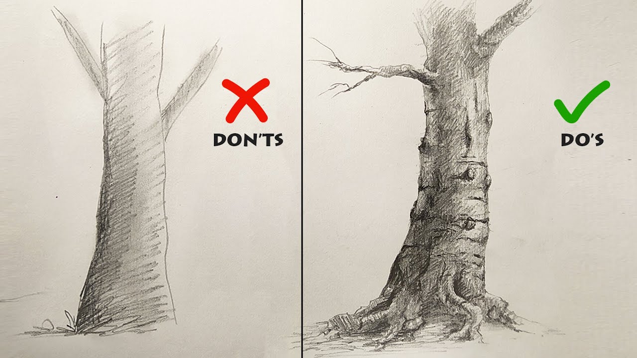 Don'ts & Do's: How to Draw Realistic Tree Trunk | Easy Step By Step | Pencil Drawing Tutorial