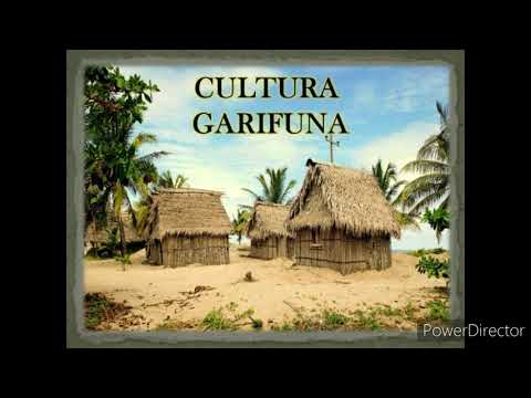 TOMi.digital - CULTURA GARIFUNA